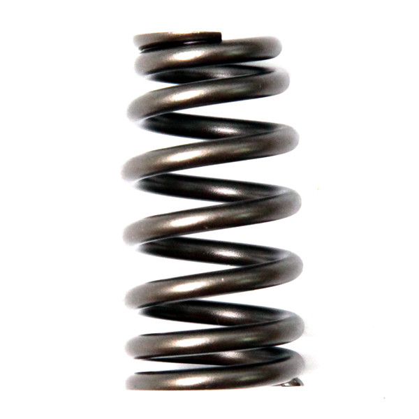 LANCER EVO CT9A INLET/EXHAUST VALVE SPRING SET (16PCS)